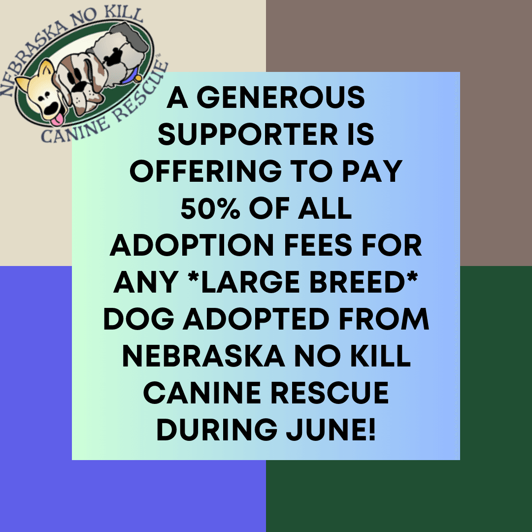 Dog Rescue and Adoption | Nebraska No Kill Canine Rescue