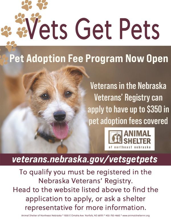 Paws for Veterans : Paws for a Better Life Programs : Animal Shelter of ...