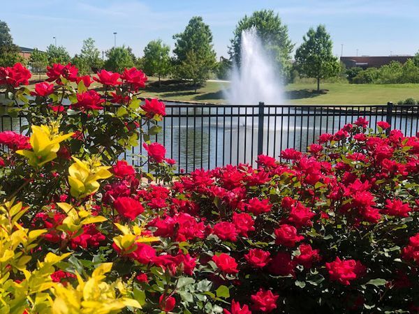 Home : Keep Oklahoma Beautiful