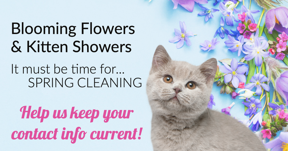 Spring Cleaning Contact Update