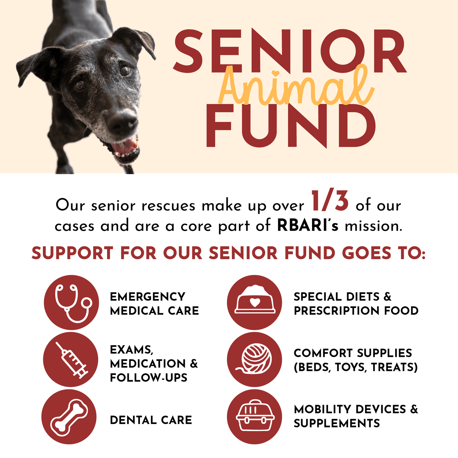 Senior Animal Fund : Donate : Ramapo-Bergen Animal Refuge, Inc.