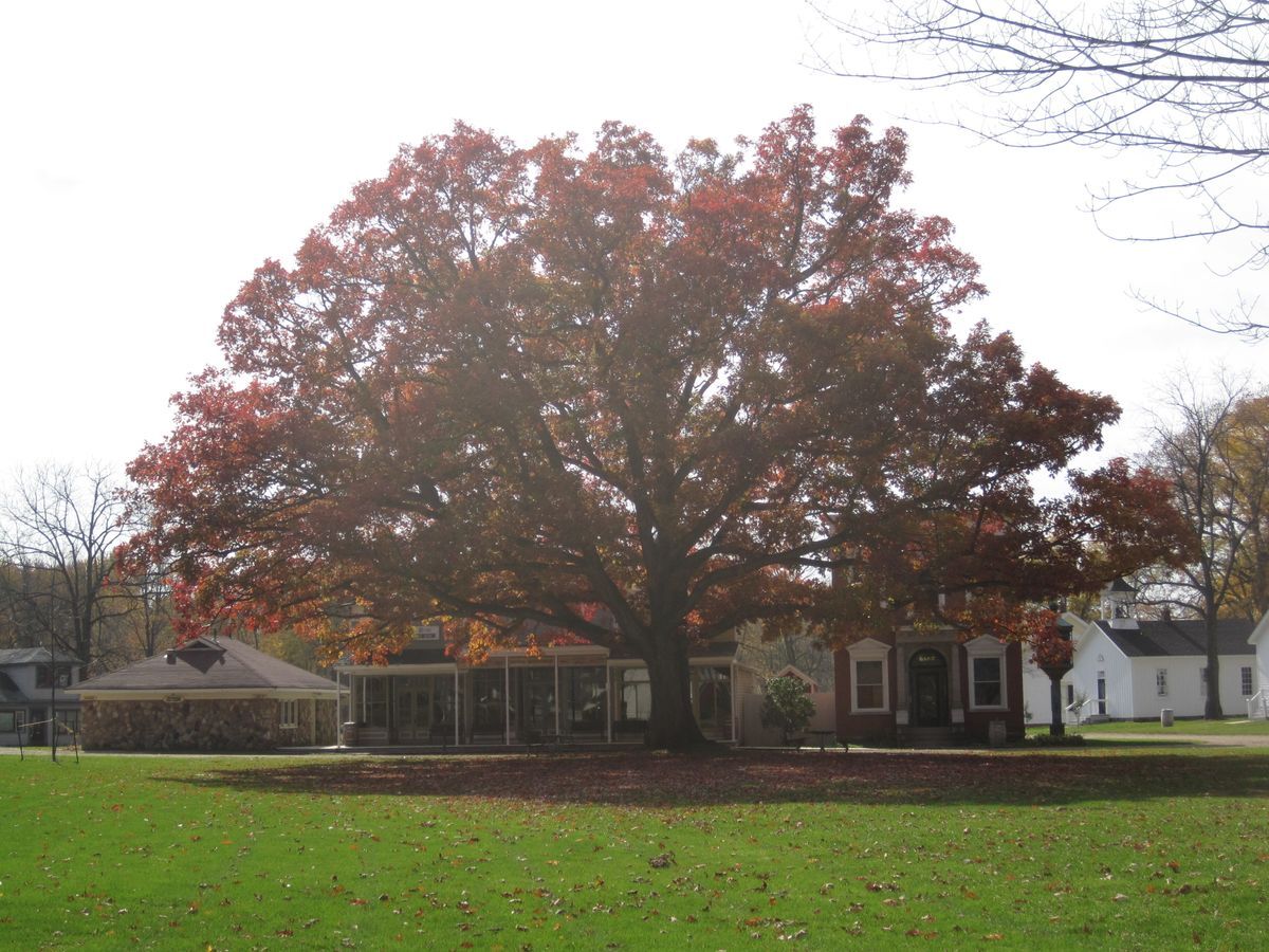 Historic Charlton Park | Hastings, Michigan | Village & Museum
