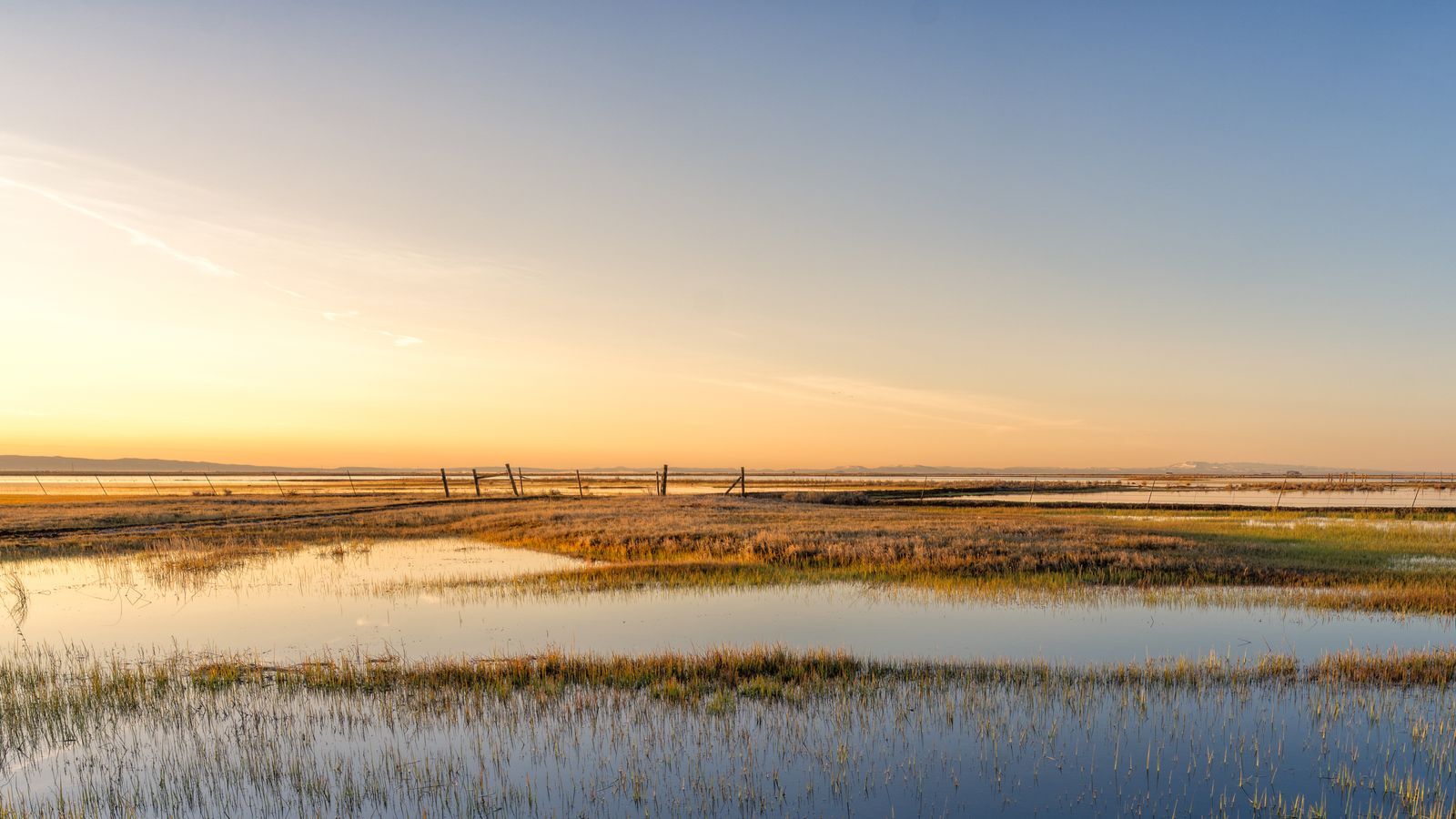 Our Vision : About : High Desert Partnership