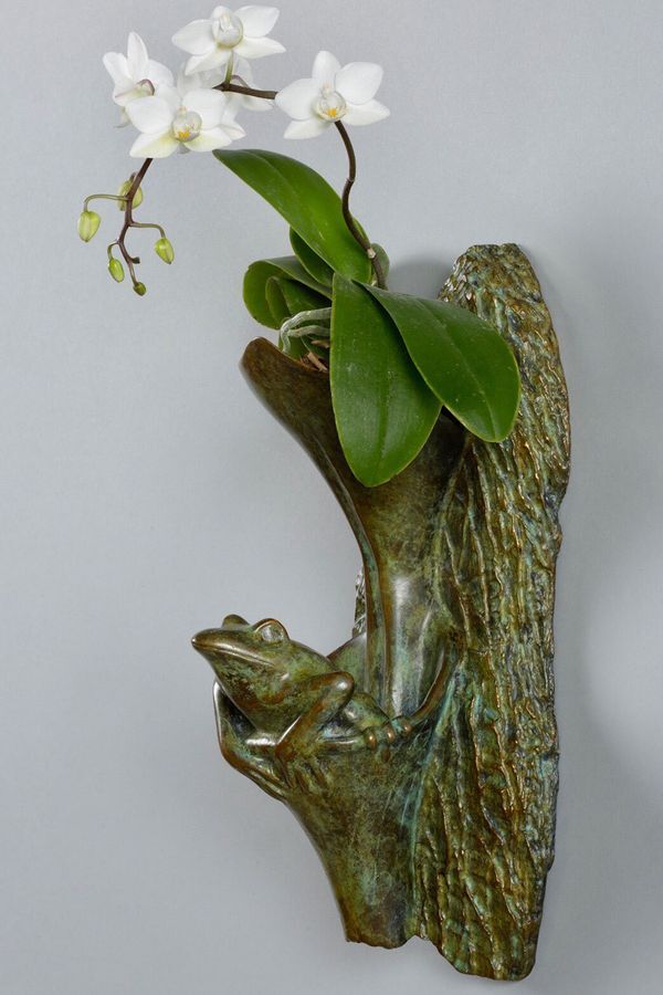 Bronze Tree Frog on Jack-in-the-Pulpit by Dale Weiler