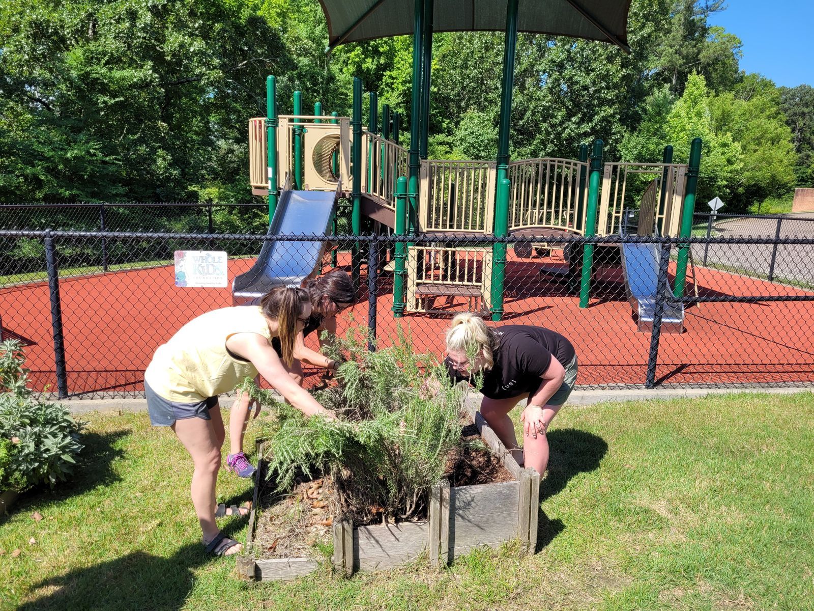 Summer Beautification Projects Complete : Blog Entries : News & Events ...