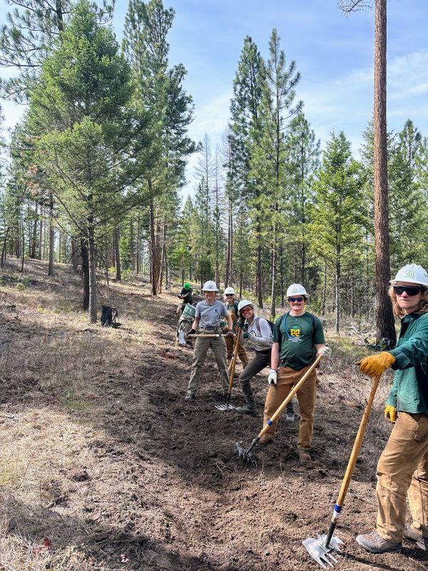 Home | Montana Conservation Corps