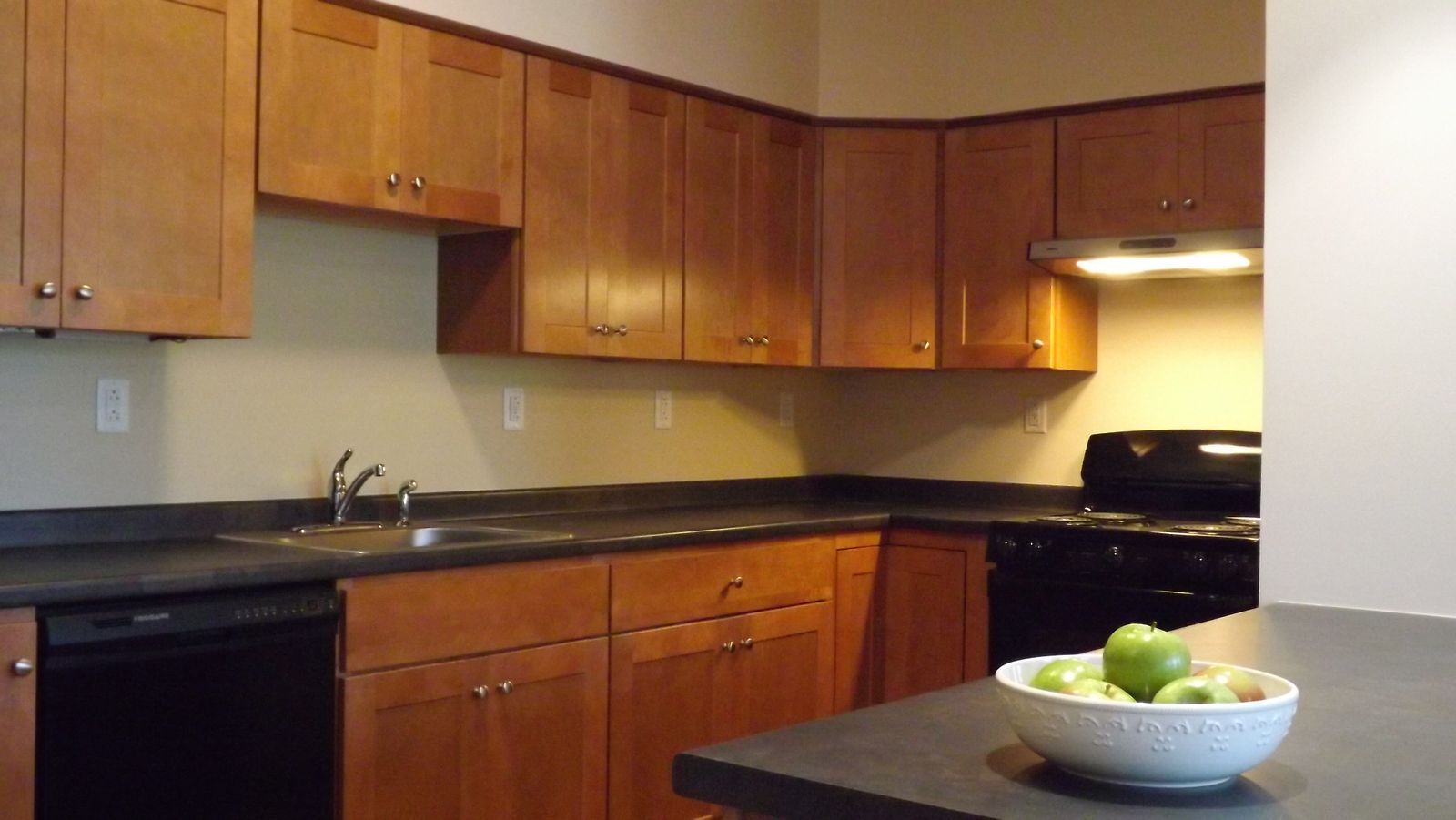 Home : Lakeview Health Services