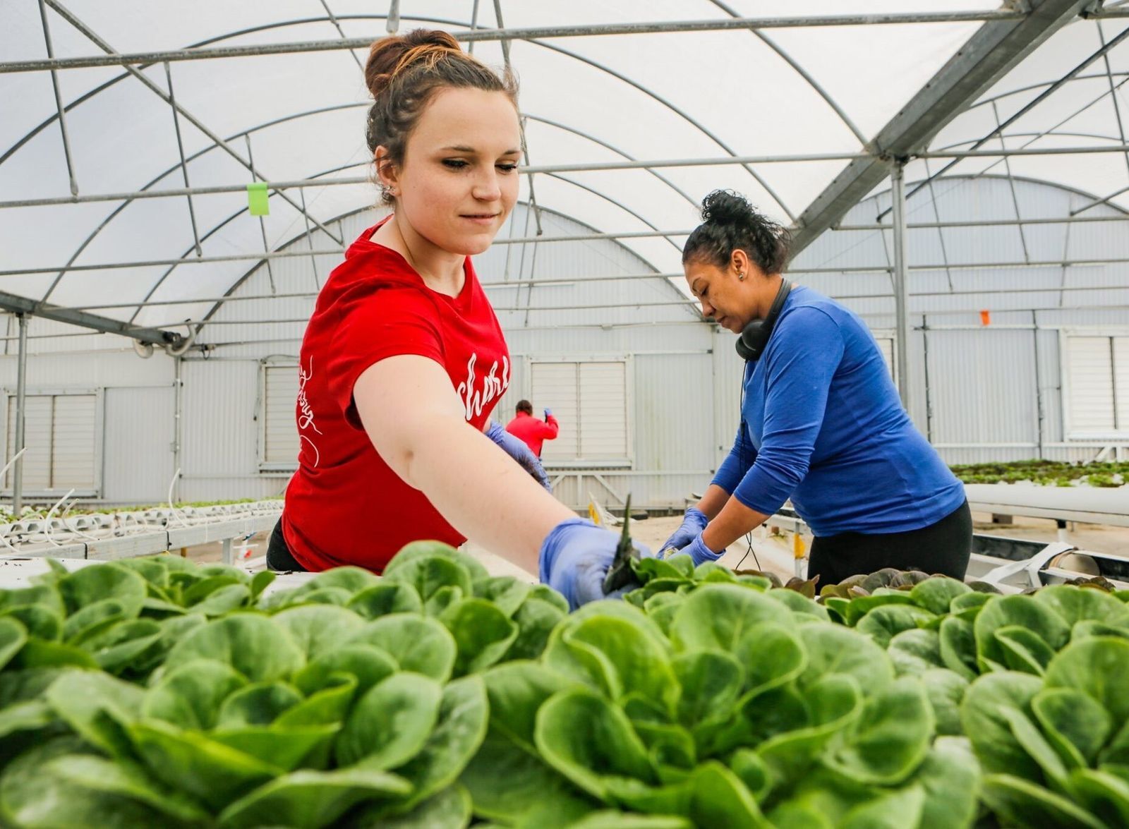 Solutions Farms Solutions For Change