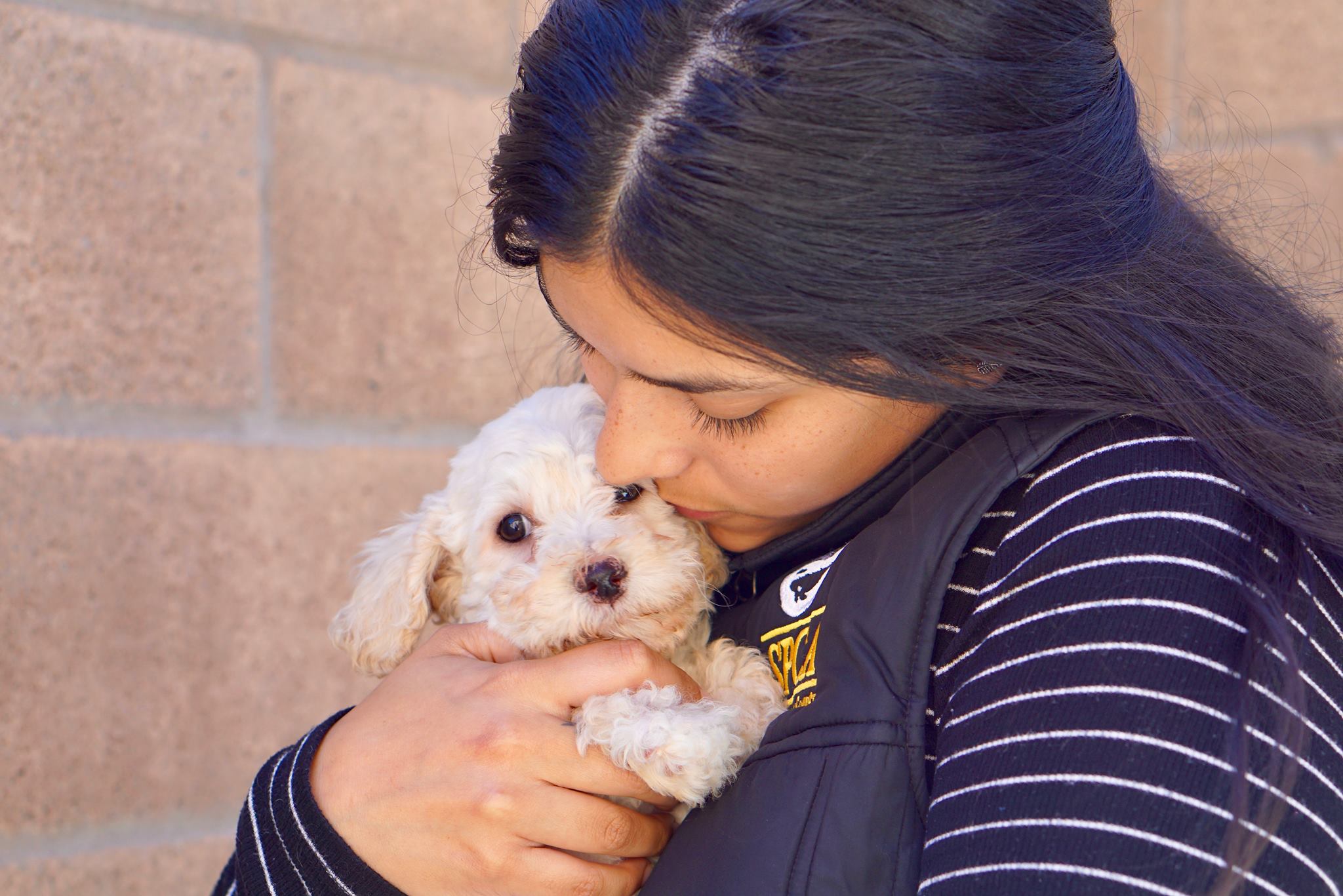 Contact the SPCA for Monterey County