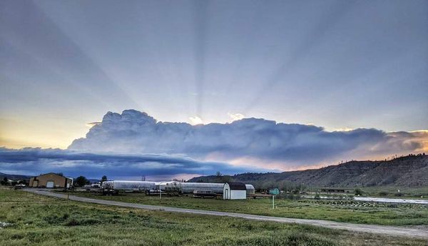 Home : Special K Ranch