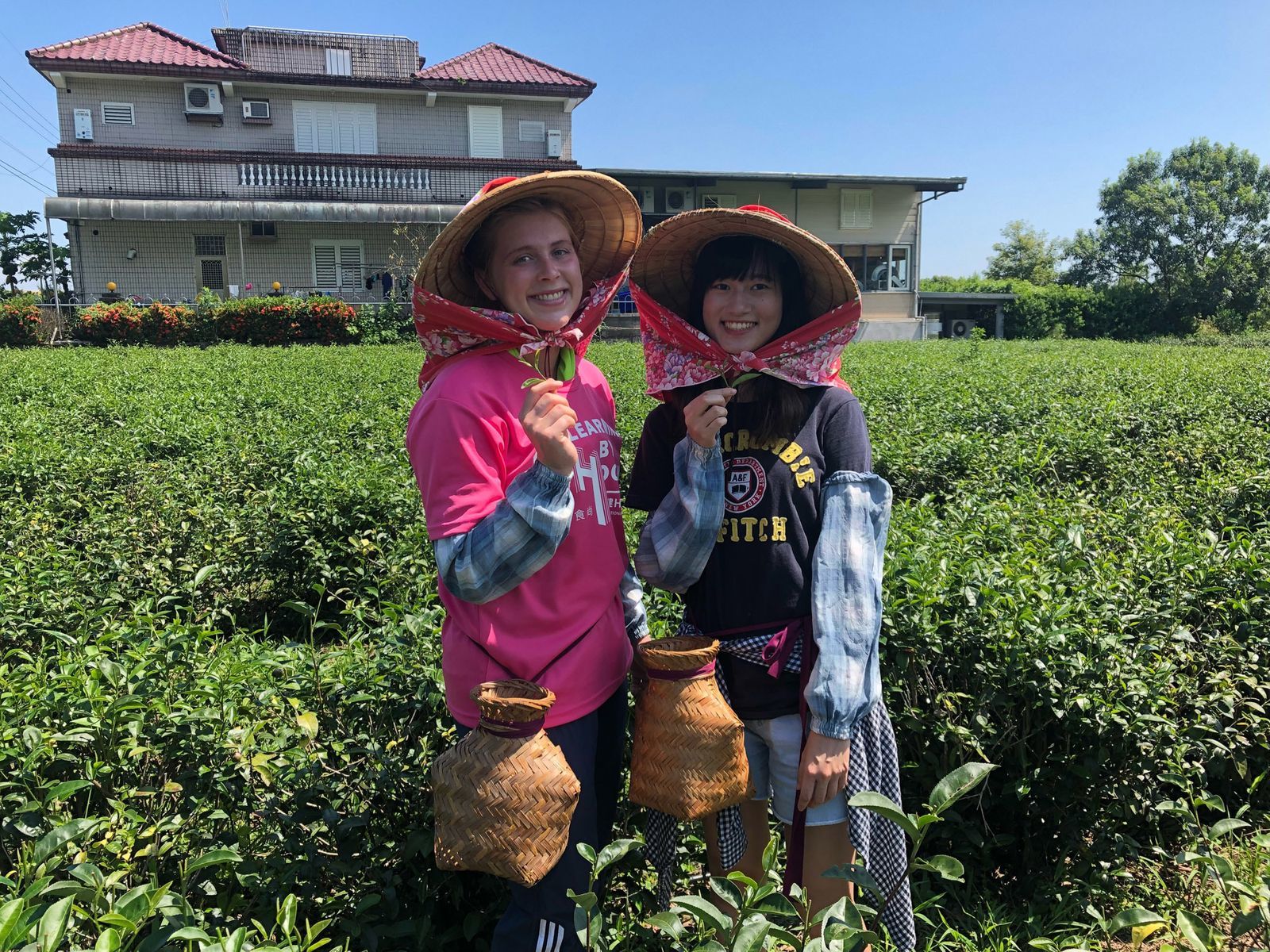 Cultural Exchange Program | IFYE USA