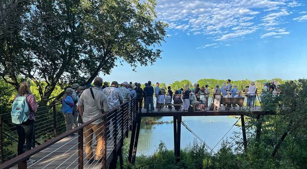 Home | Houston Audubon