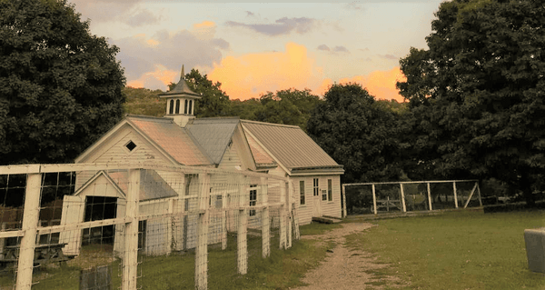 Self-Guided Tours : Group Visits : Visit Us : Muscoot Farm