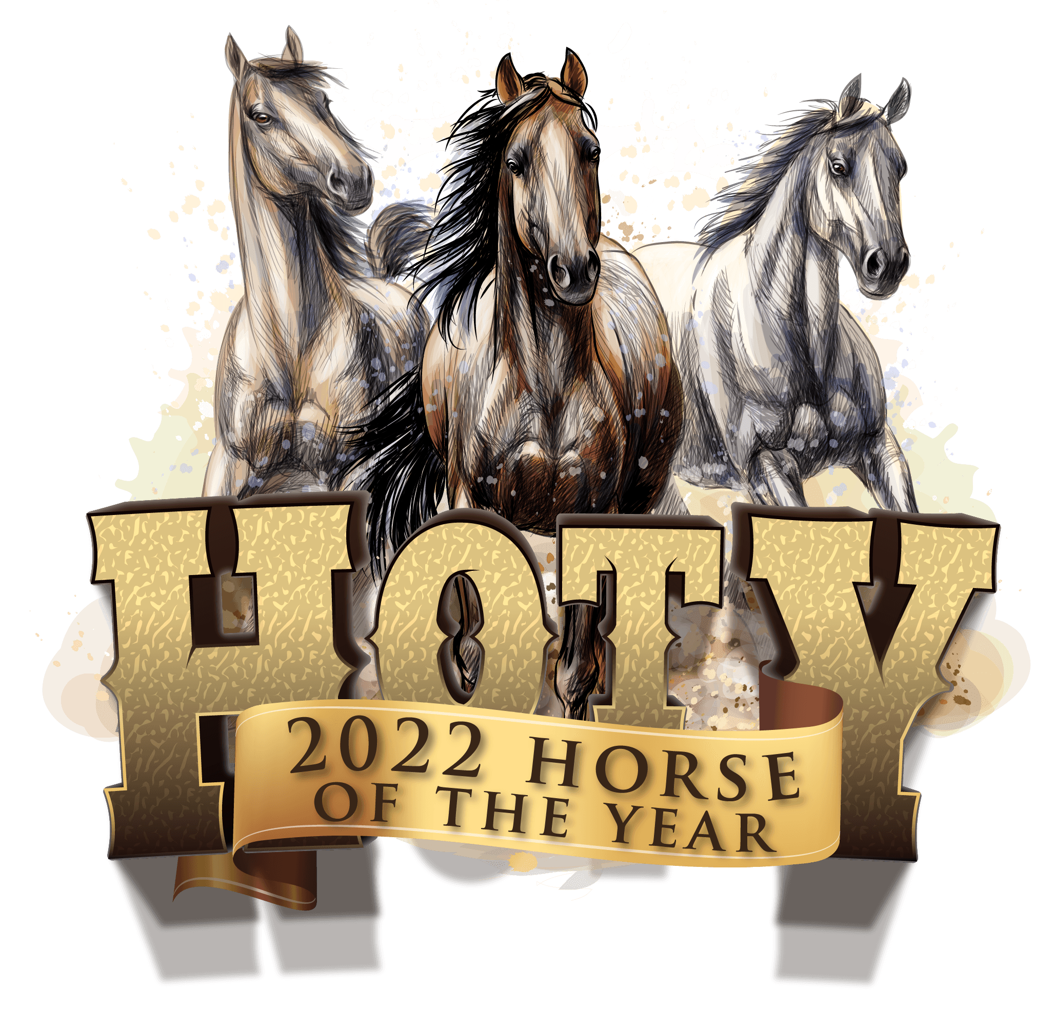 Heartland Equine Therapeutic Riding Academy