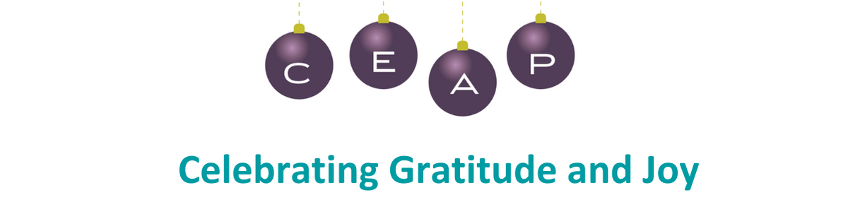 Holiday Assistance | COVID-19 Volunteering | CEAP Minneapolis, MN