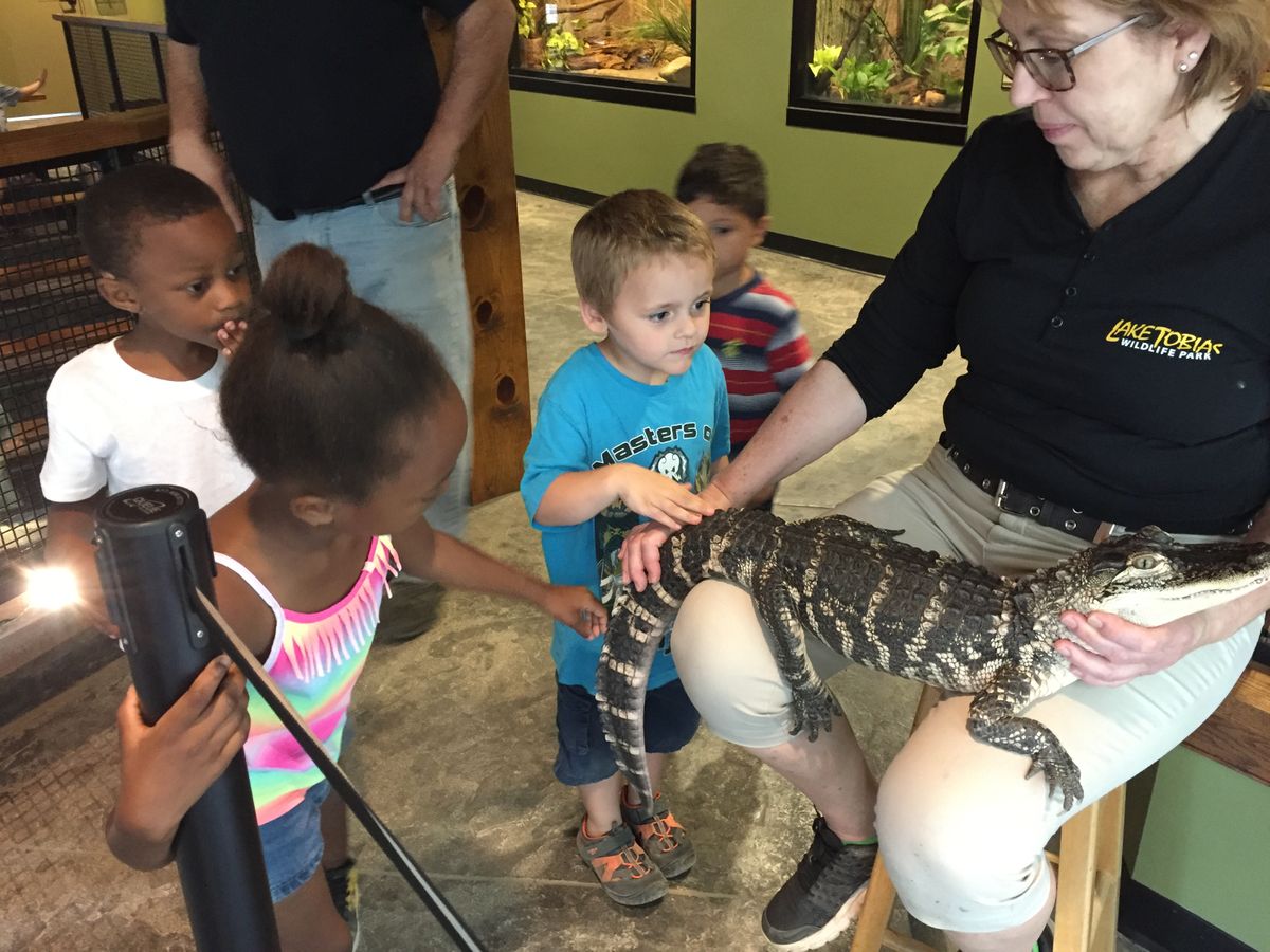 Home : Trinity Preschool Part of the Camp Curtin Learning Community