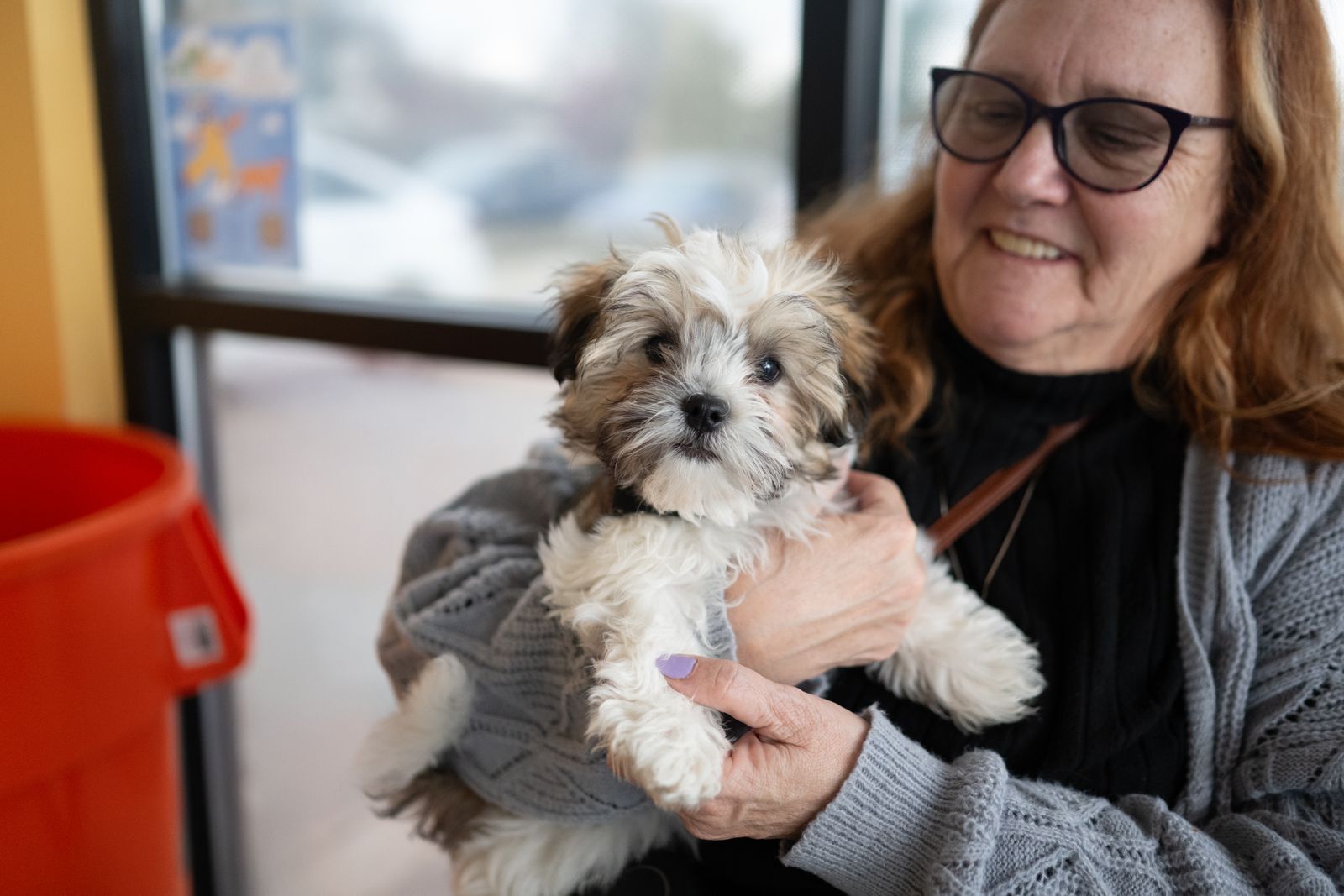 Capital Humane Society | Lincoln, NE | Home