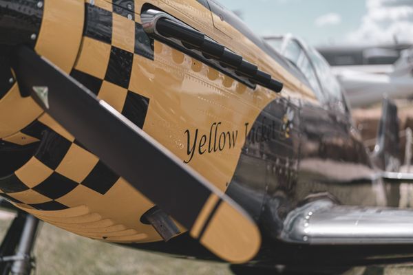 Flight Training : Flight Training : Yellow Jacket Flying Club