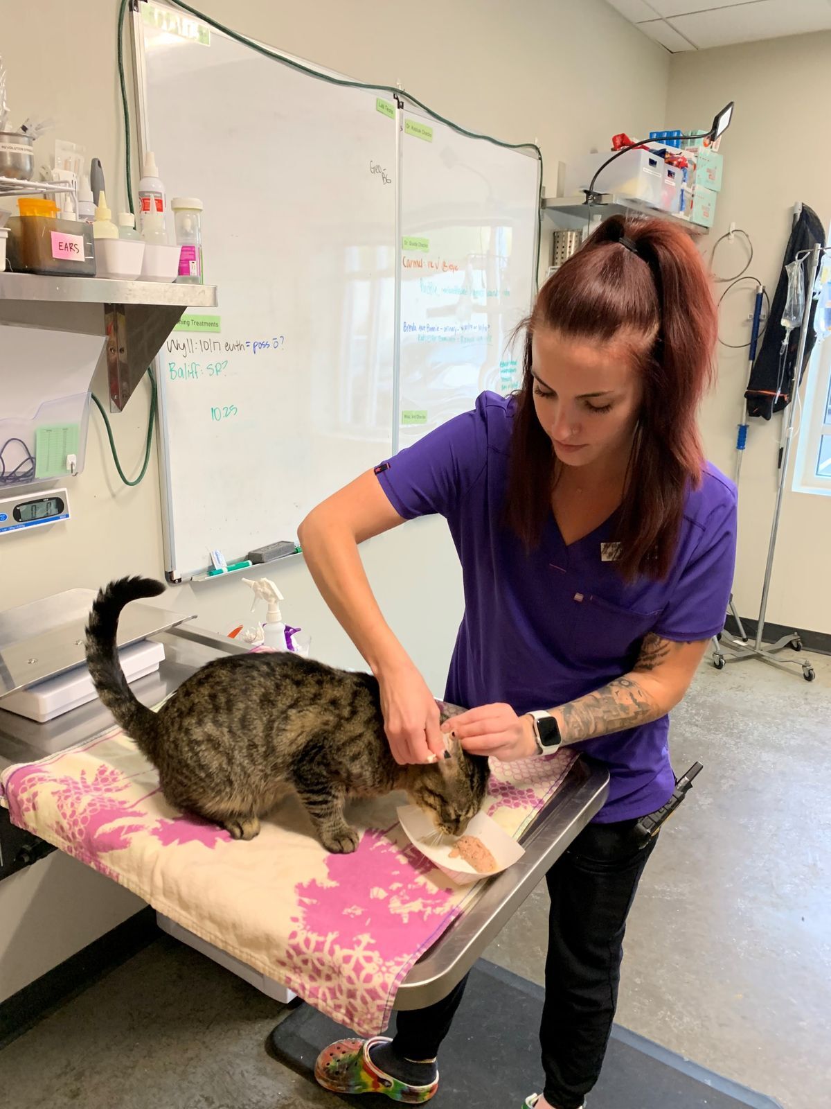 Tri-County Humane Society