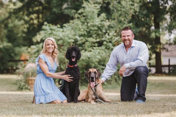 Home : Great Dane Rescue