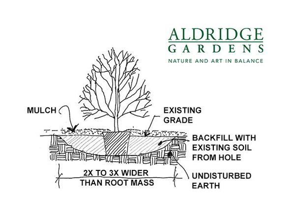 Aldridge Gardens | Nature & Art | Hoover, Alabama