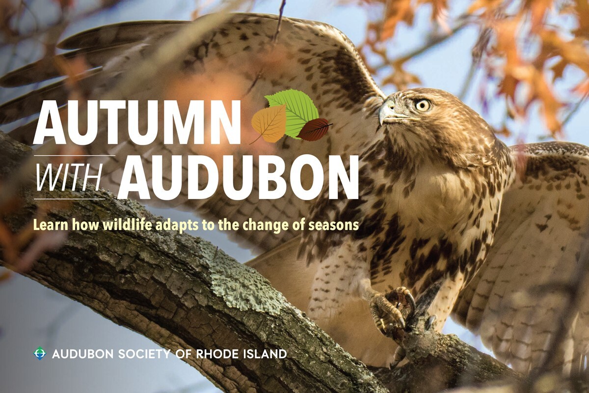Autumn with Audubon | Audubon Society of RI