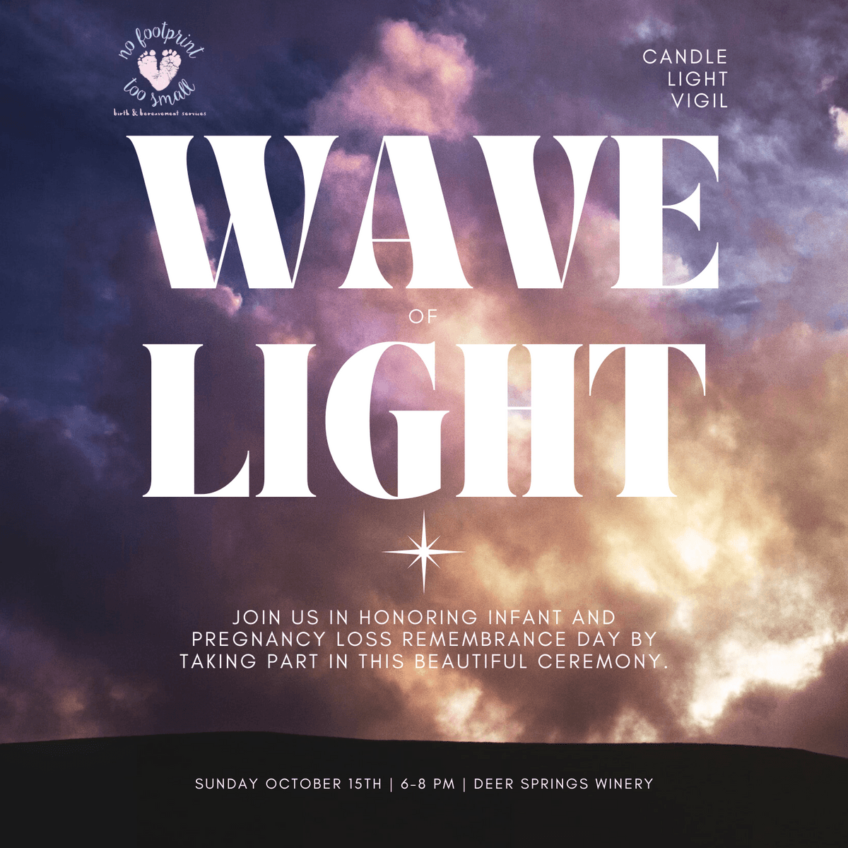 Wave of Light : Events & Updates : No Footprint Too Small
