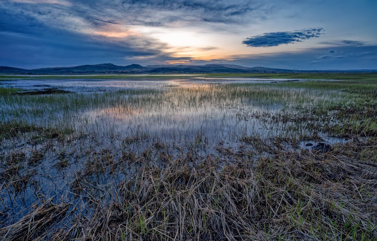 Home : High Desert Partnership