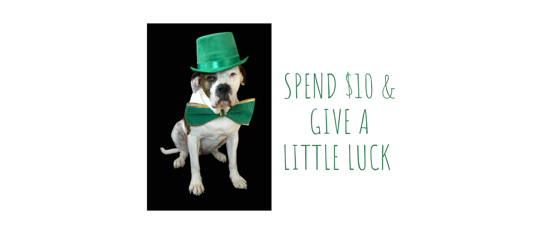 Spend $10 Bucks to Send a Rescue Good Luck! : Fundraising Campaign ...