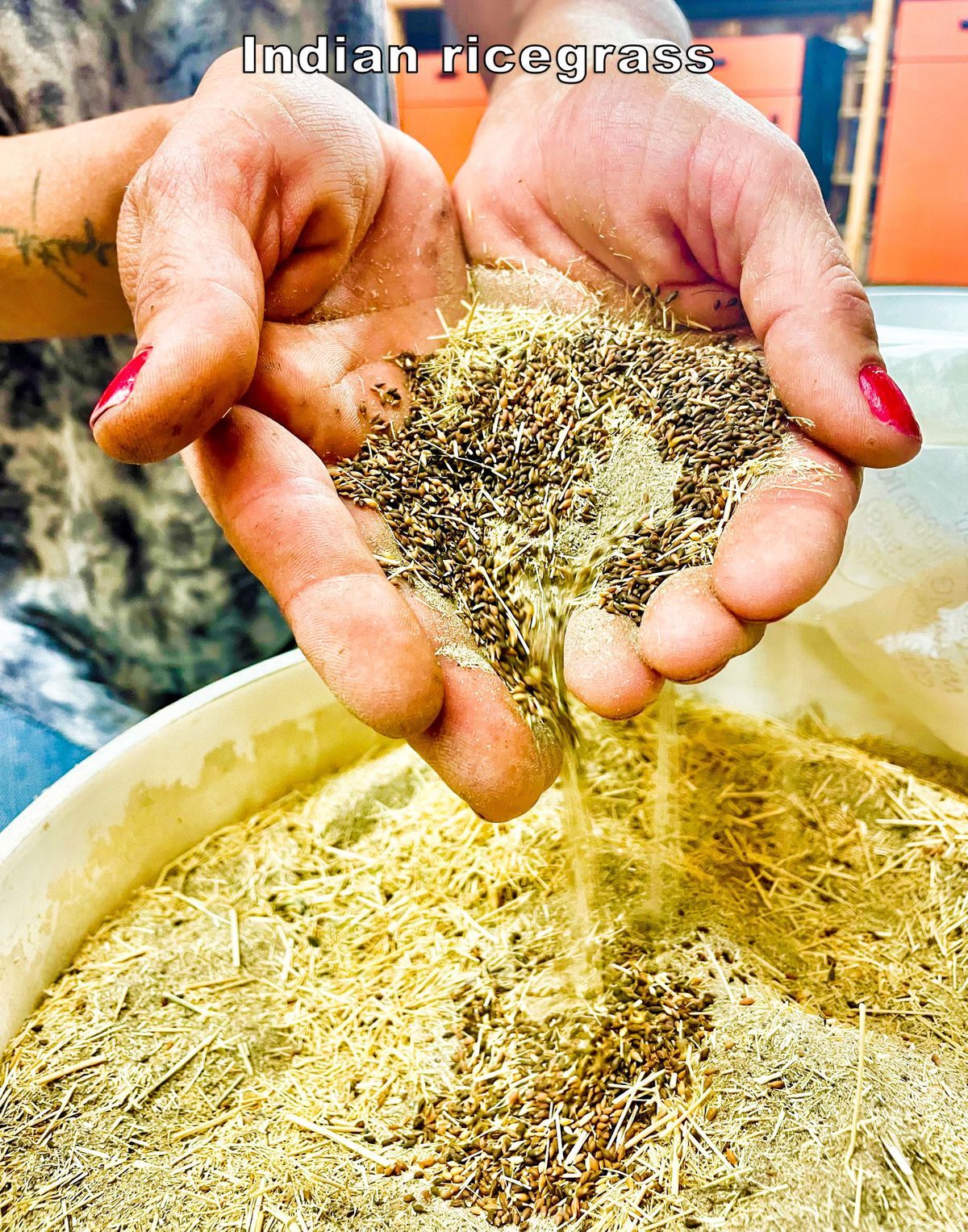 Donate : Get Involved : EcoSource Native Seed & Restoration