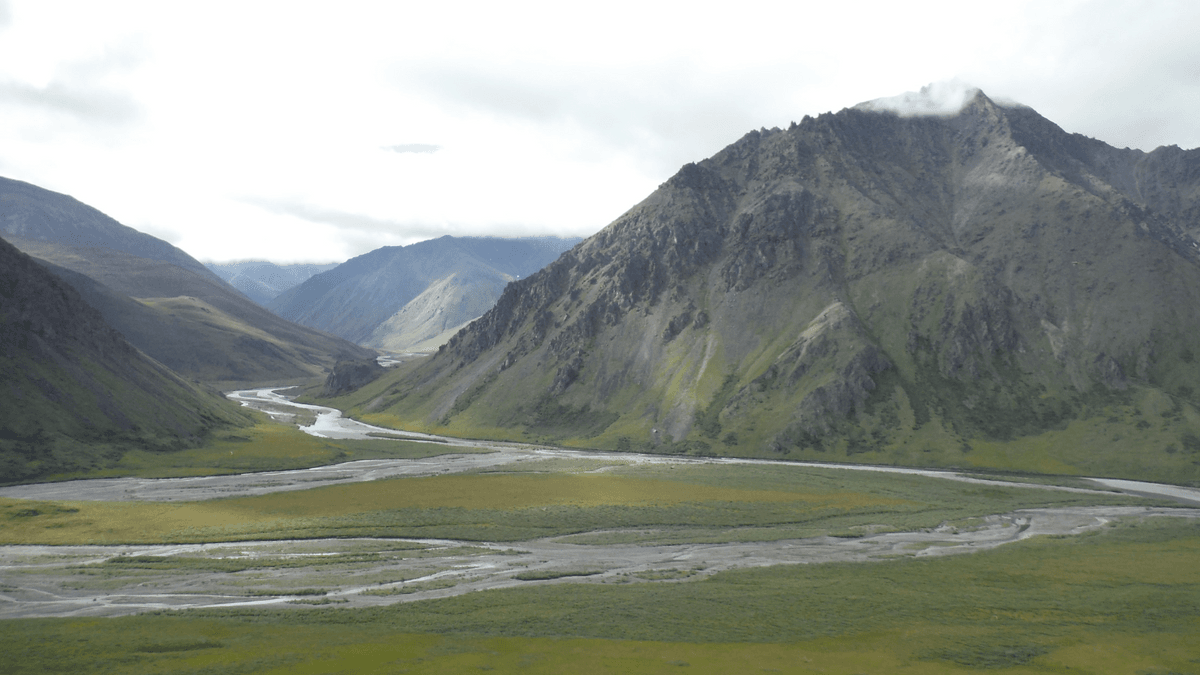 Newsroom : Newsroom & Blog : Evangelical Environmental Network
