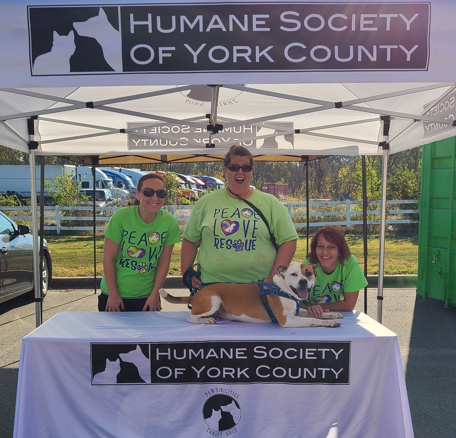 Home : Humane Society of York County