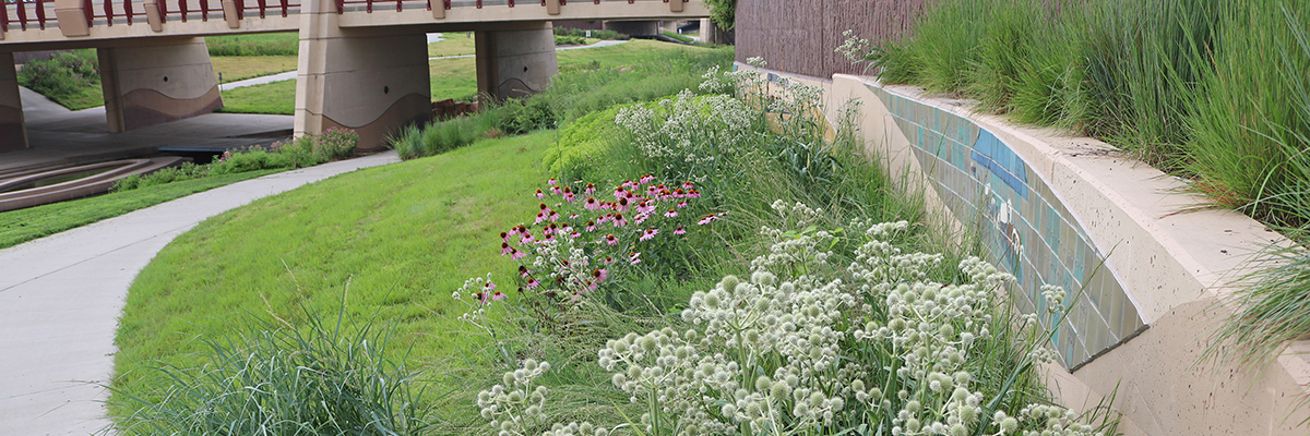 Plant | Landscape | Plains | Nebraska | Arboretum | Statewide