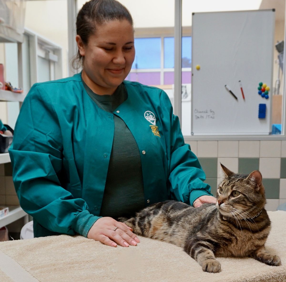 SPCA Barn Cat Adoptions
