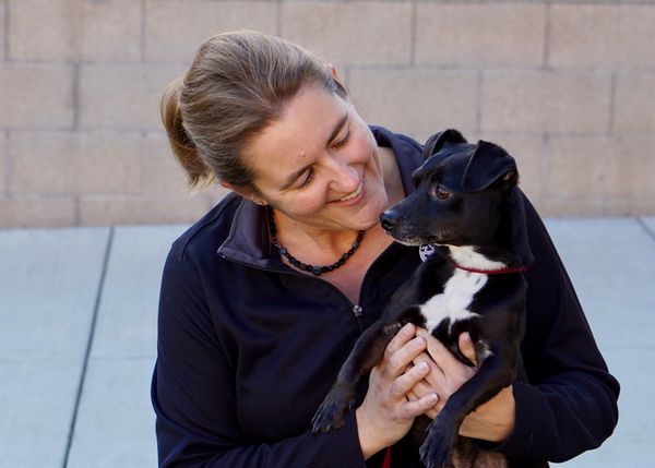 Who We Are - SPCA Monterey County