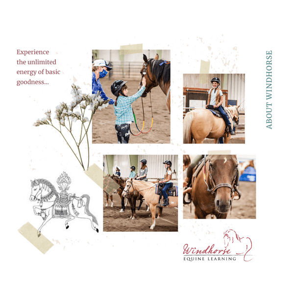 Newsroom : News & Events : Windhorse Equine Learning