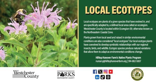 Native Plants Program : Native Plants Program : Programs : The Friends ...