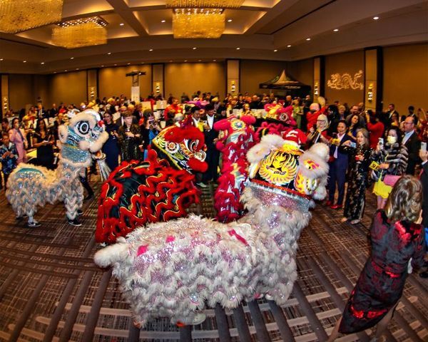 Welcome : Home : Nathan Yip Foundation