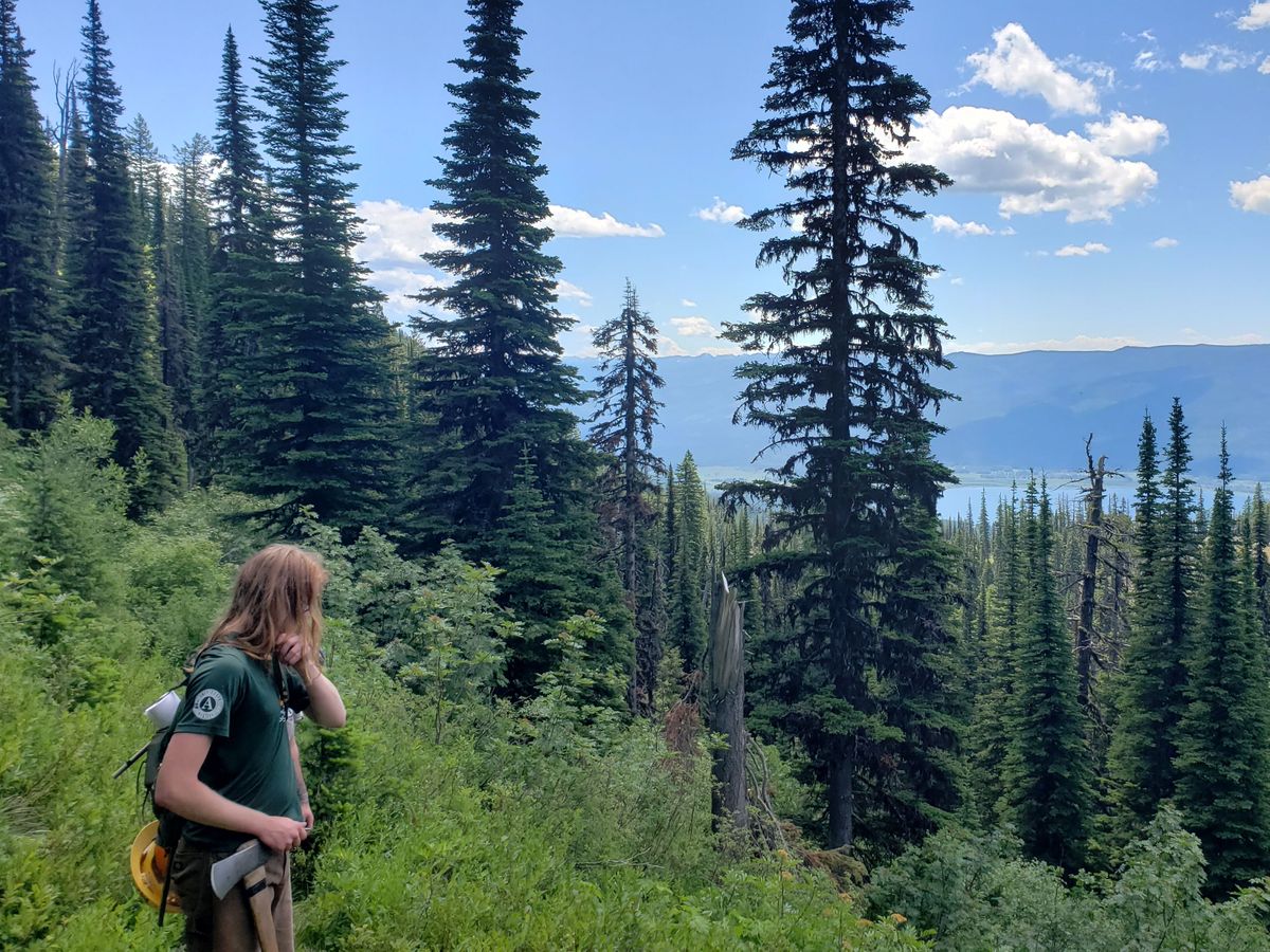 Home | Montana Conservation Corps