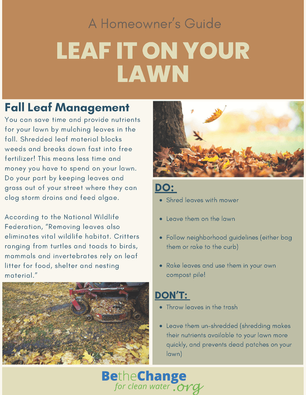 Leaf it on the Lawn : Be the Change : Madison Soil and Water ...