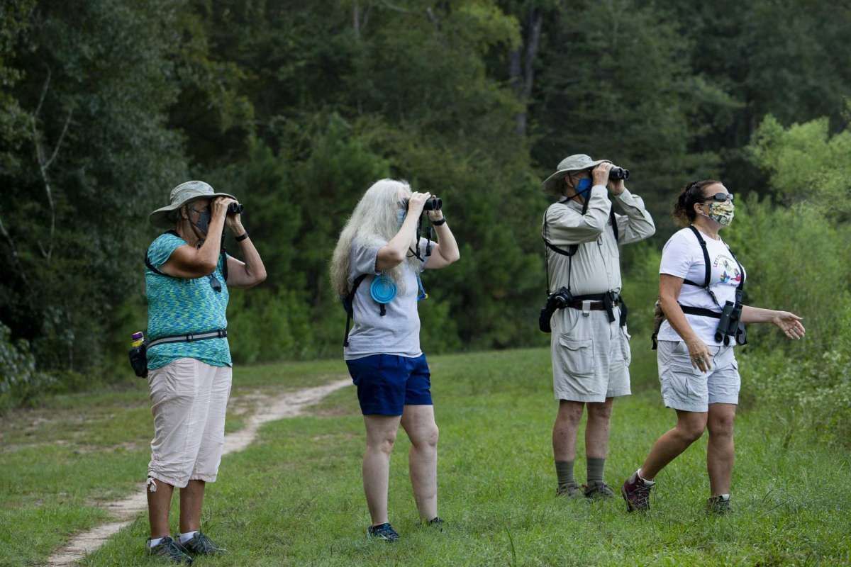 Houston Bird Week | Programs | Houston Audubon