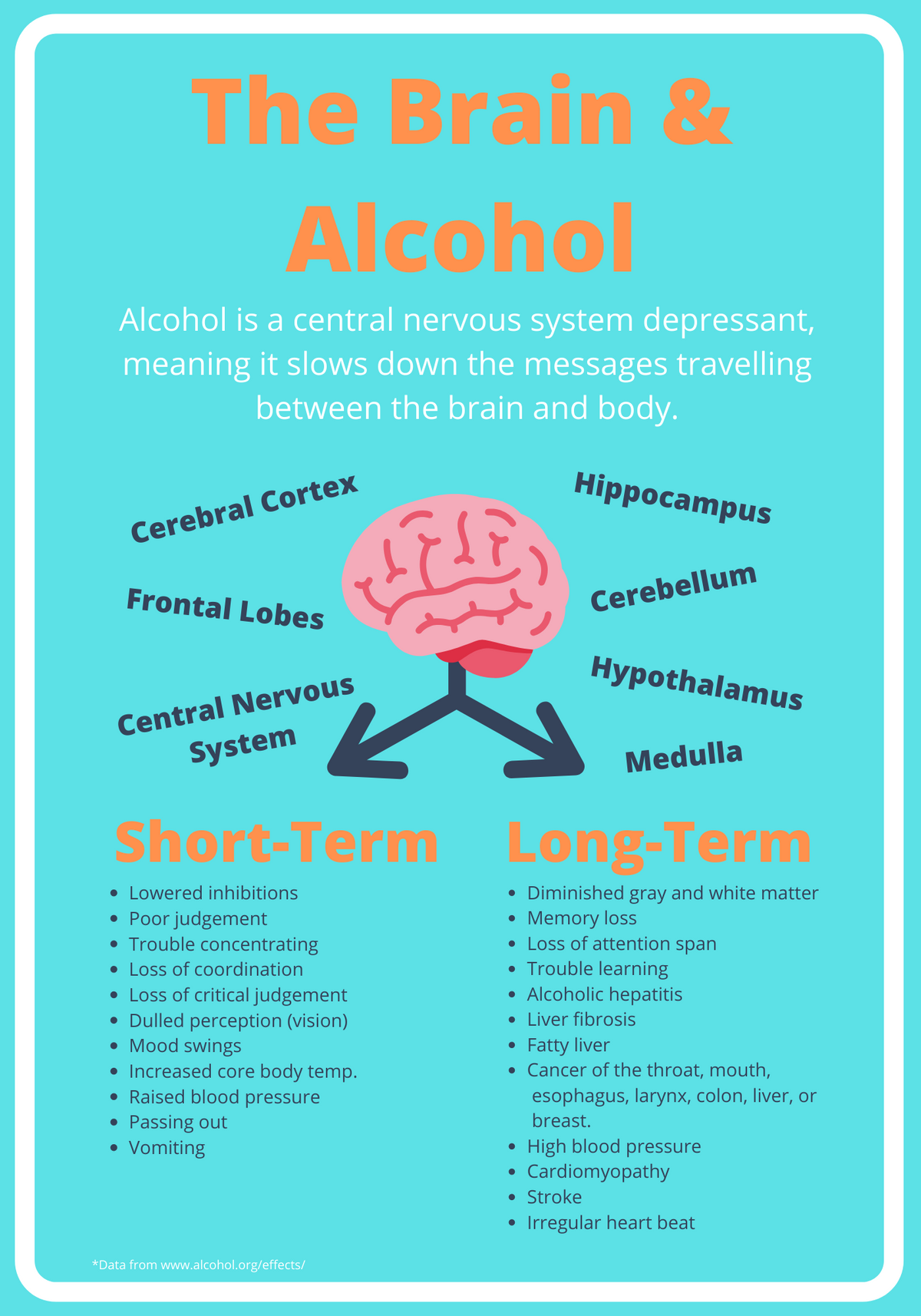The Brain : Health & Alcohol : Minimize Risk, Maximize Life: a low-risk ...