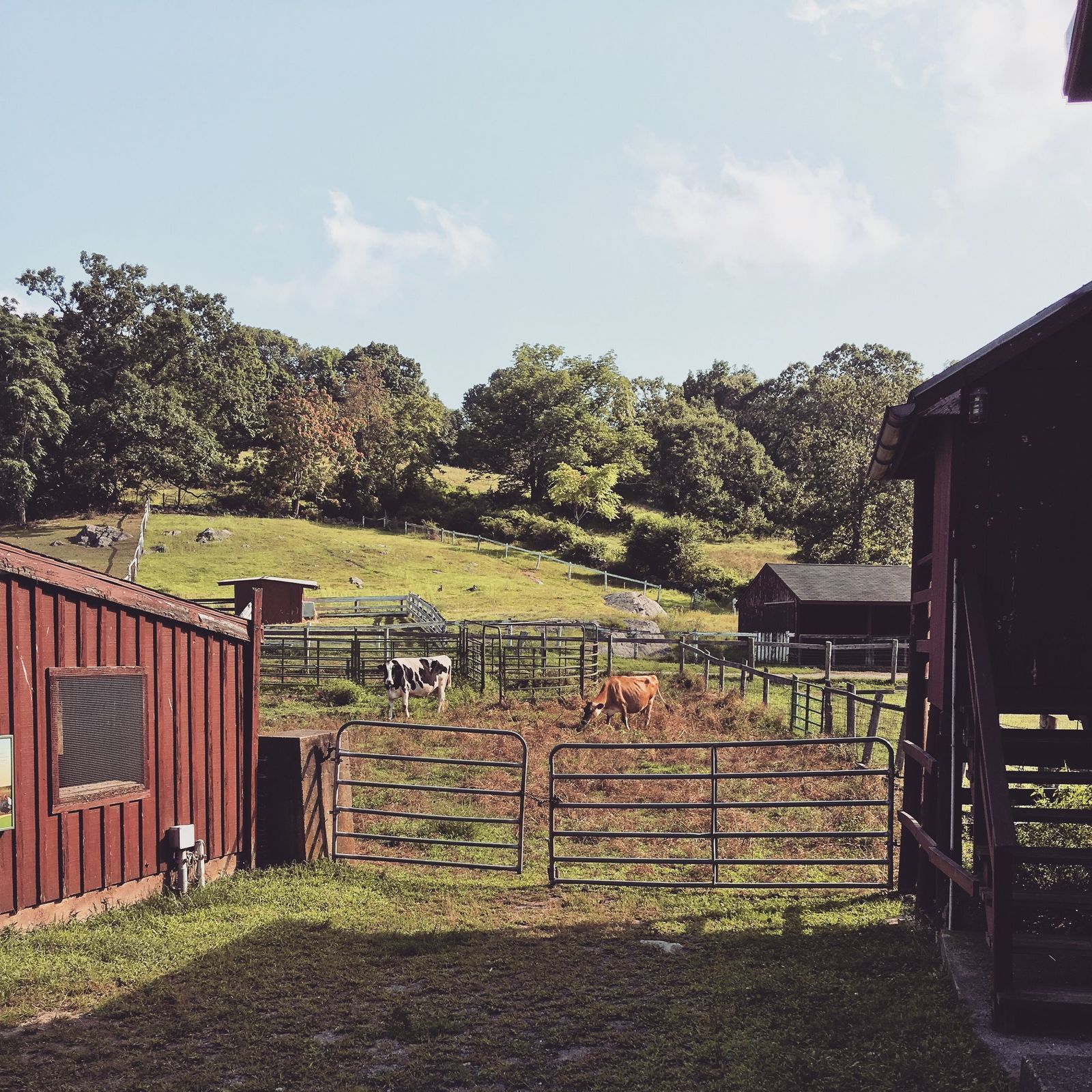 Donate : How to Help : Muscoot Farm