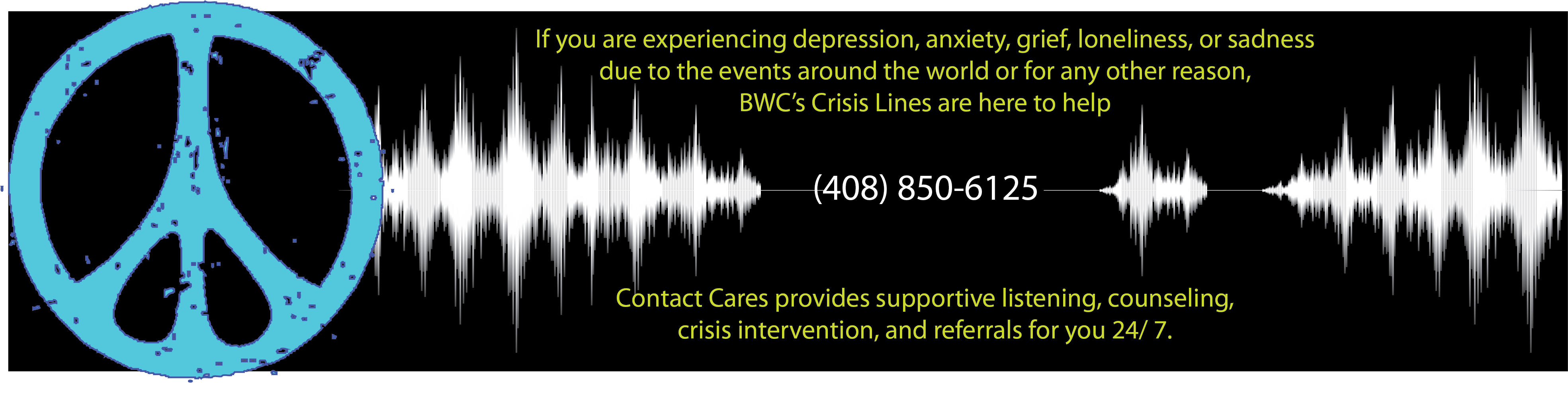 Bill Wilson Center : Counseling Services, Housing, Youth Shelter