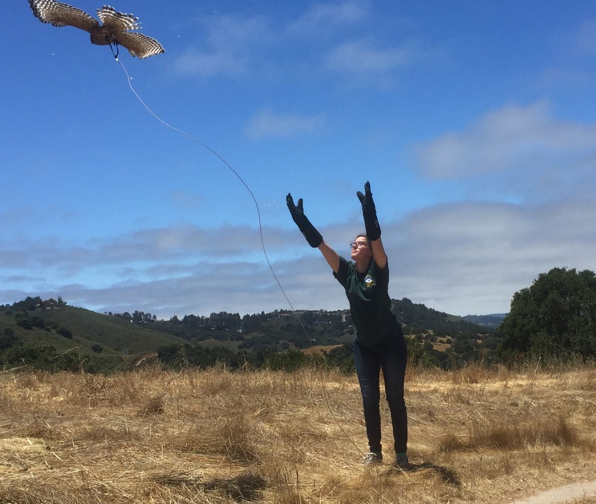 Volunteer - SPCA for Monterey County