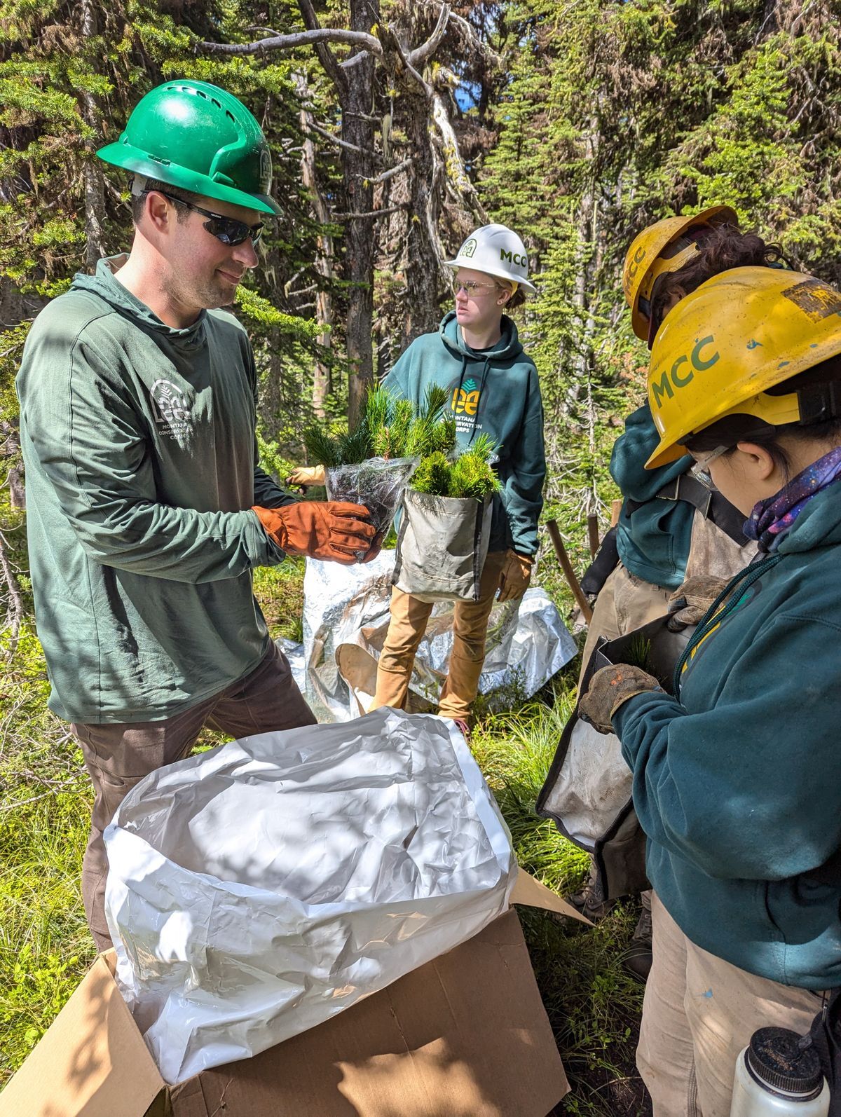 Blog | Montana Conservation Corps