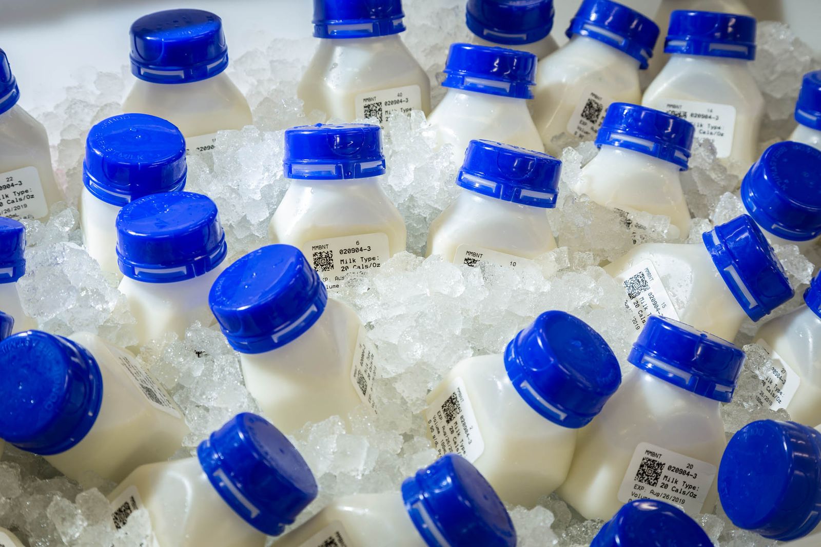 Lab Processing : What We Do : Mothers' Milk Bank of North Texas