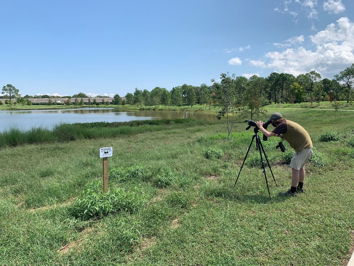 Houston Bird Week | Programs | Houston Audubon
