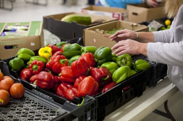 SNAP Benefits : Find Help : Eastern Illinois Foodbank