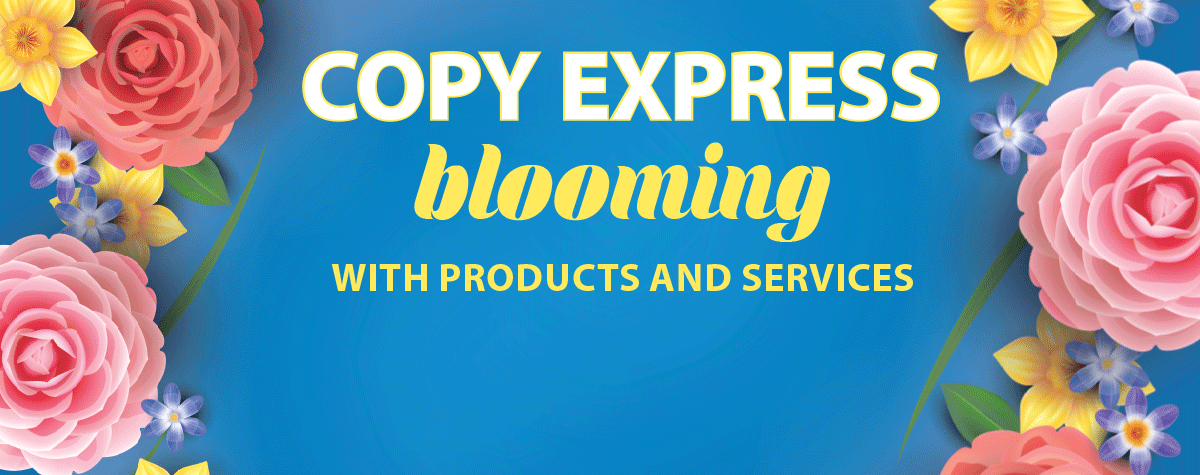 Print, Copy, Design and Promote | Chicagoland, Northwest, Woodstock, IL